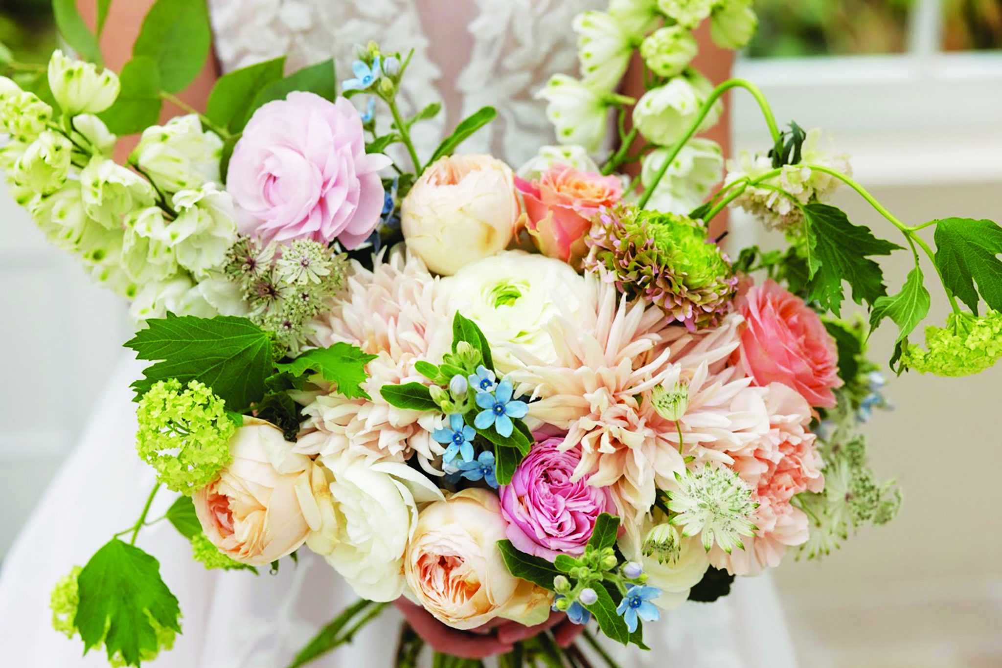 Digital Editions - Flora Magazine