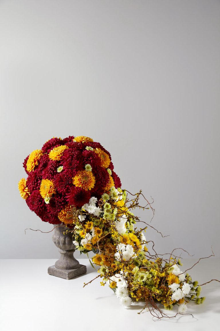 Olympic Fever - Flora Magazine