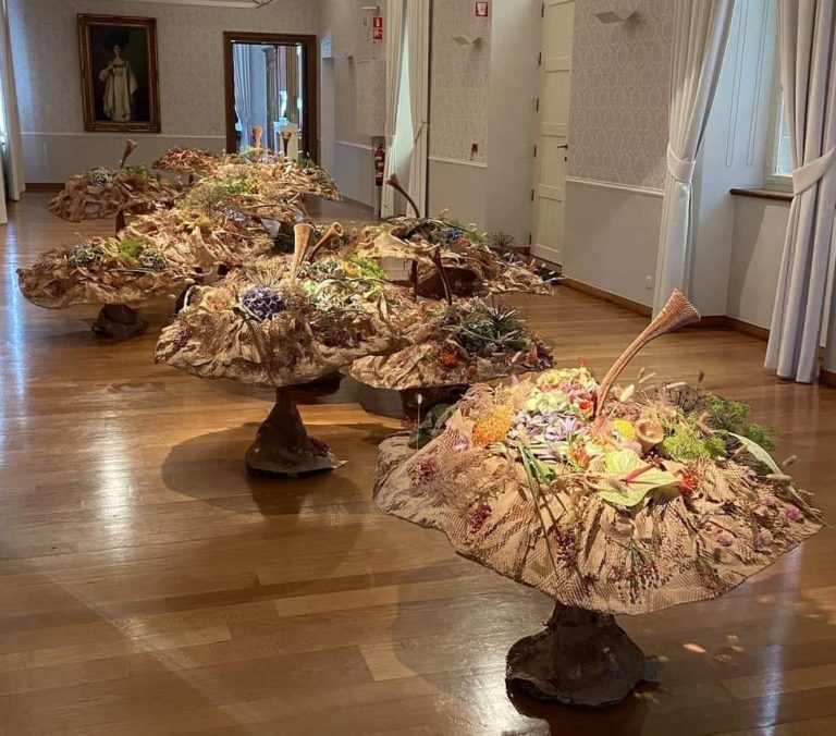 Latest Posts - Flora Magazine